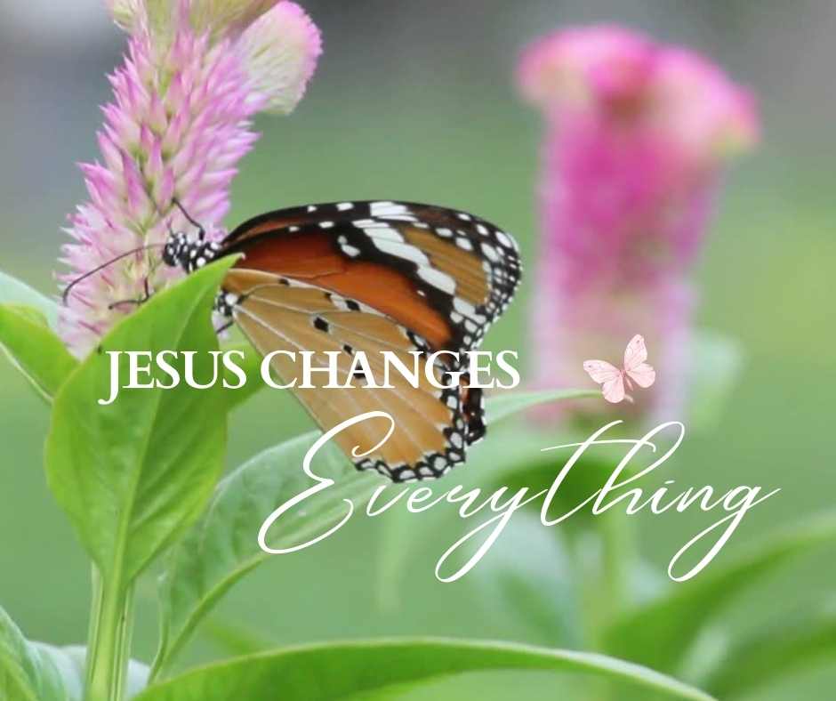 JESUS CHANGES EVERYTHING - Sonlife