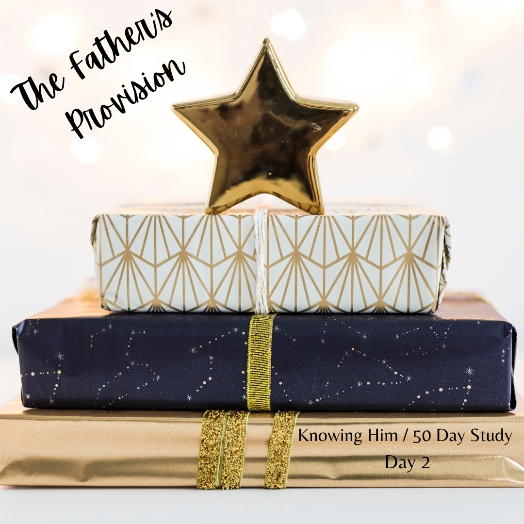 Jesus and the Father’s Provision - Sonlife